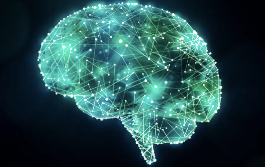 Neuromuscular Diseases – Florida Neurological Center